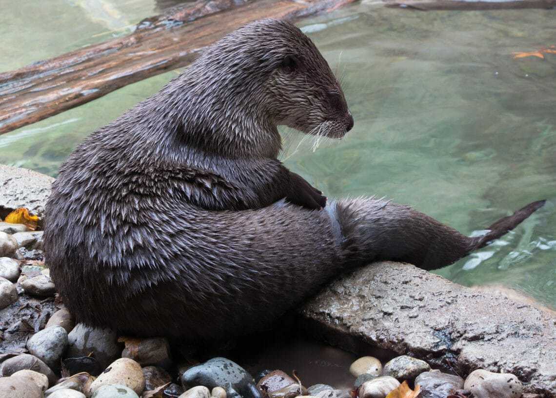 50 Best Things to Do in Michigan - Your RV Lifestyle