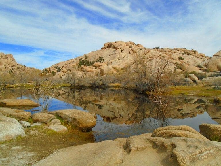 RV Camping in Joshua Tree National Park - Your RV Lifestyle
