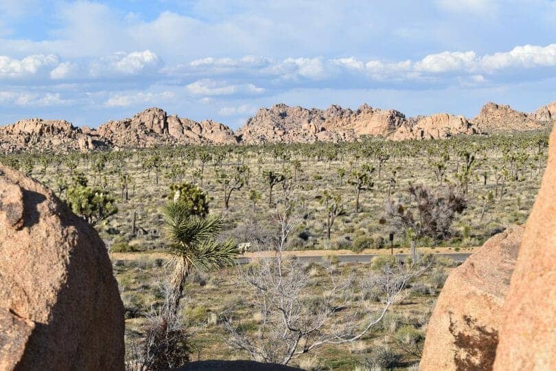 RV Camping in Joshua Tree National Park - Your RV Lifestyle