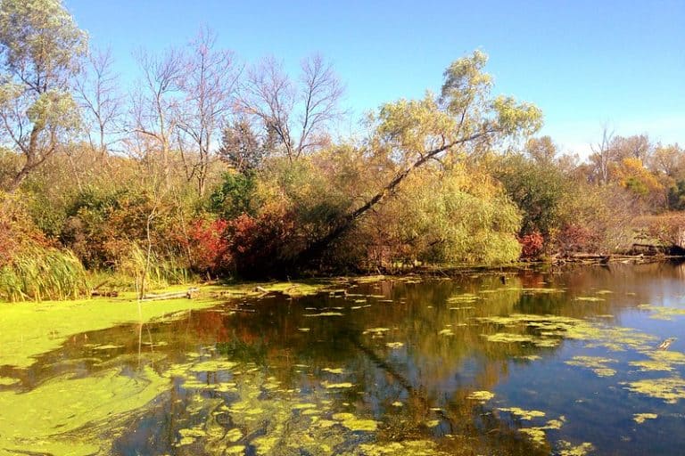 30 Best Things to do in Omaha, Nebraska - Your RV Lifestyle